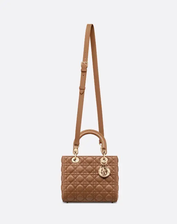 Dior Medium Lady Bag
