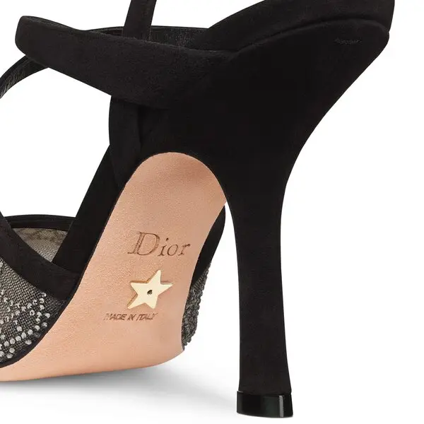 Dior Capture Pump With Ankle Strap