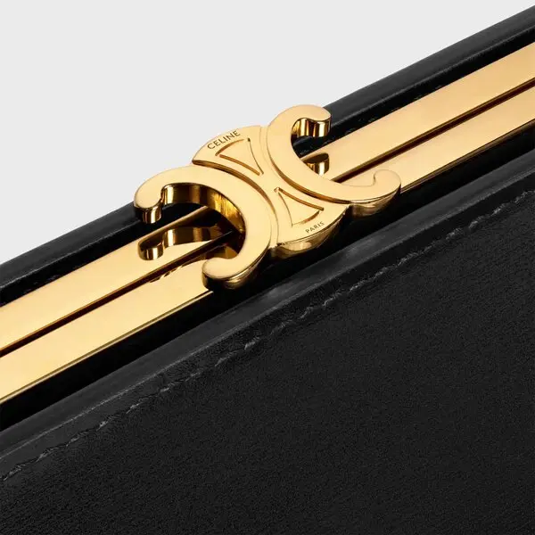 Celine Medium Antoinette Bag - Black