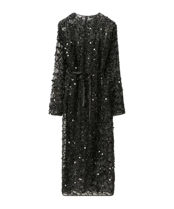 Fabiana Filippi Embellished Sheer Long Sleeve Dress