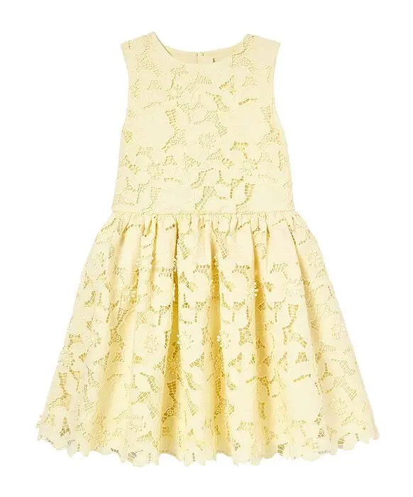 SELF-PORTRAIT Sleeveless Lace Dress