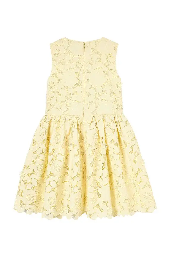 SELF-PORTRAIT Sleeveless Lace Dress