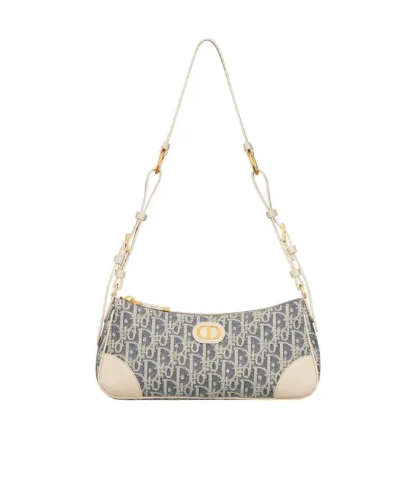 Dior 30 Montaigne Wanderlust Mini Bag