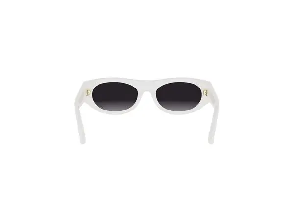 Dior Full Frame Sunglasses