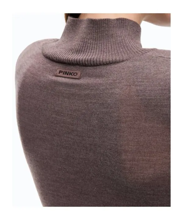 Pinko Fine-knit Roll-neck Dress