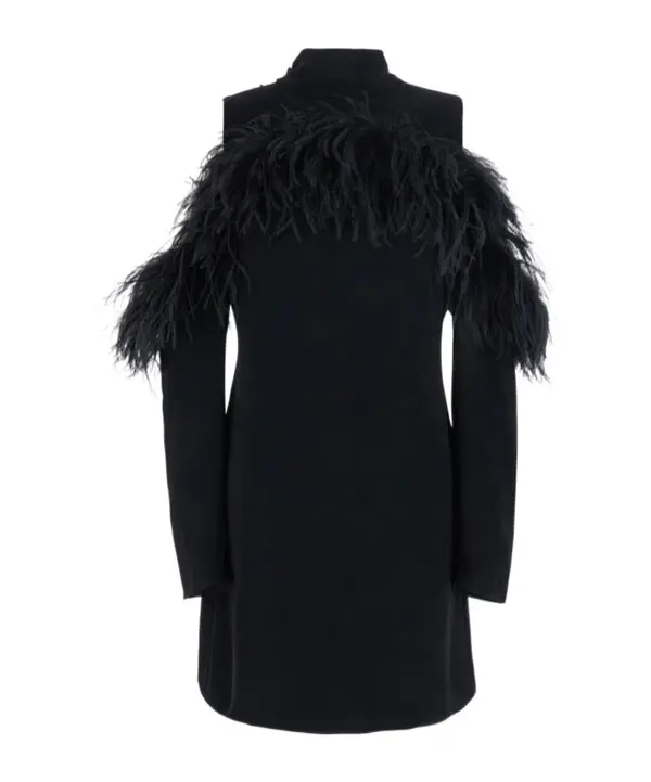 P.a.r.o.s.h Long Sleeve Dress With Feather Detail