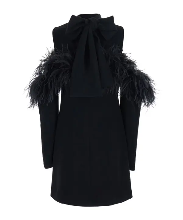 P.a.r.o.s.h Long Sleeve Dress With Feather Detail