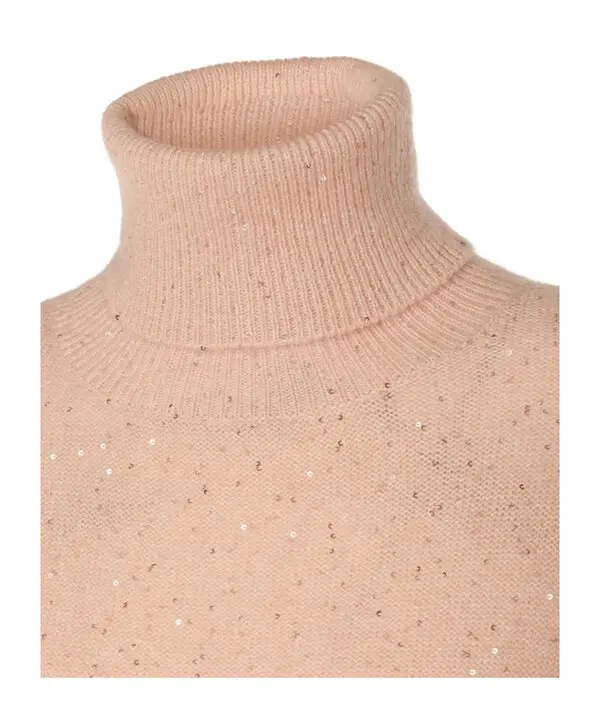 Fabiana Filippi Short-sleeved High-neck Sweater With Sequins