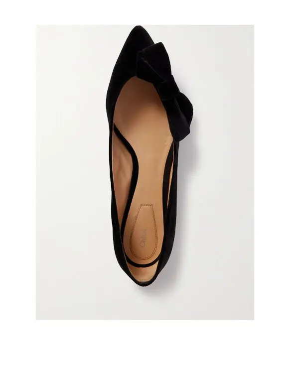 Chloé Thea Ballerina Flats With Bow Detailing