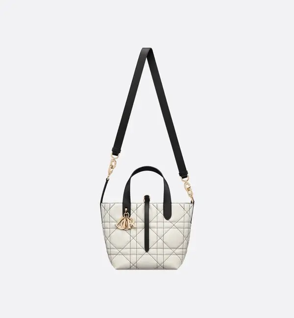 Dior Small Toujours Vertical Tote Bag
