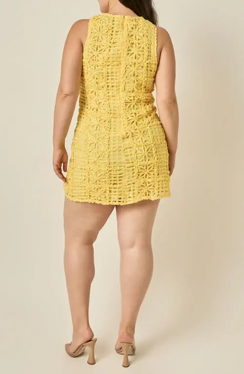 Endless Rose Floral Lace Minidress