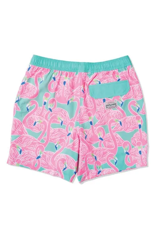 PARTY PANTS Flamingo Print Mid-thigh Swim Trunks