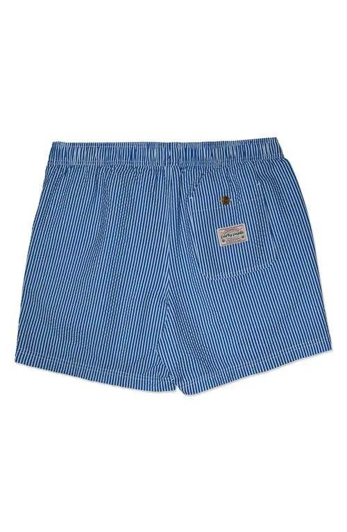PARTY PANTS Stripe Party Starter 5-inch Swim Trunks