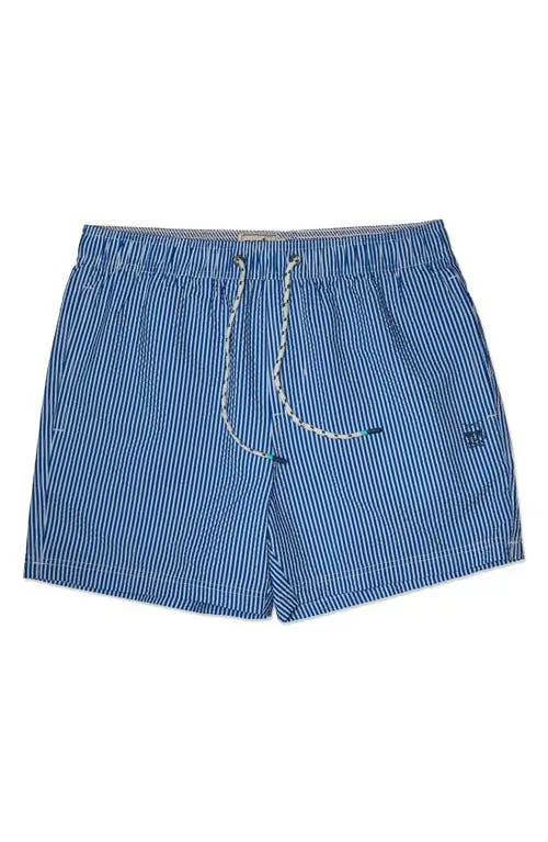 PARTY PANTS Stripe Party Starter 5-inch Swim Trunks