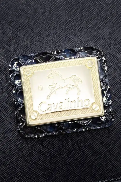 CAVALINHO Prestige 249 Backpack