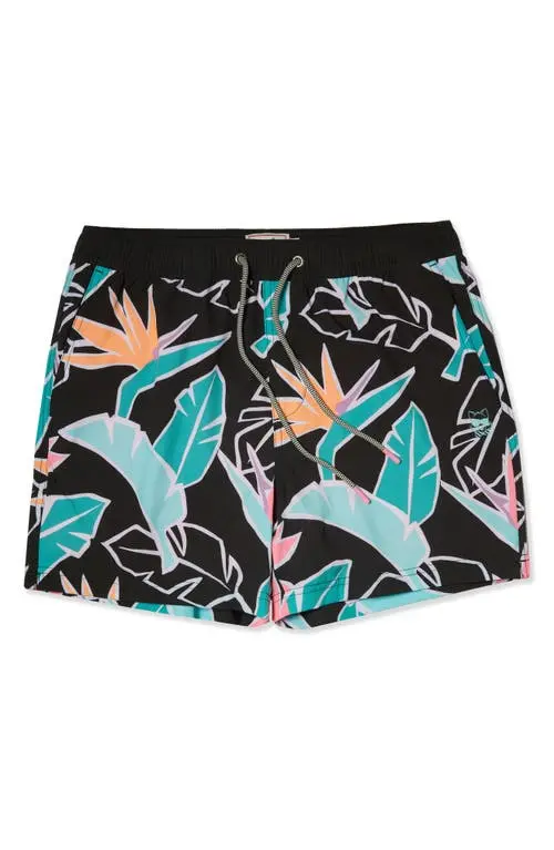 PARTY PANTS Sweet Leaf Party Starter 5-inch Swim Trunks