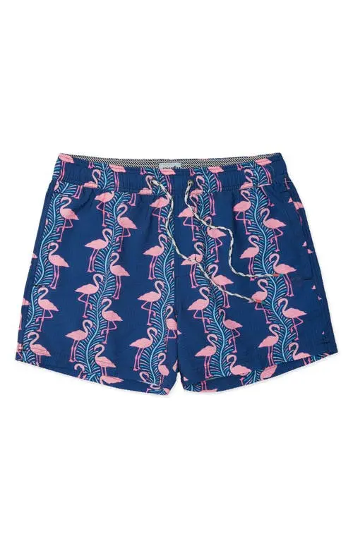 PARTY PANTS Flamingles 5-inch Swim Trunks - Navy Blue