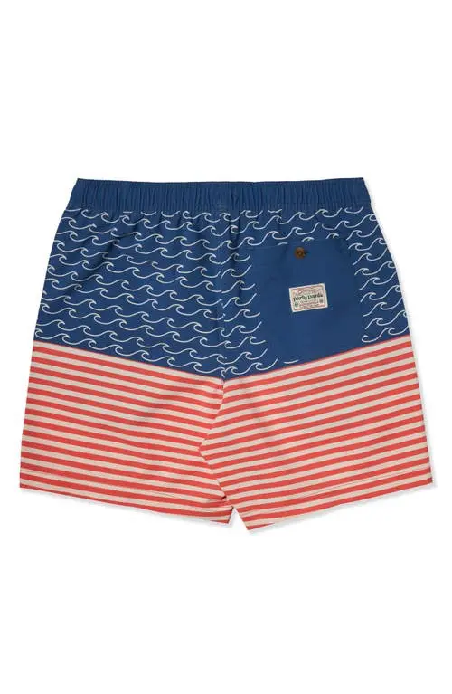 PARTY PANTS Finner Party Starter 5-inch Swim Trunks