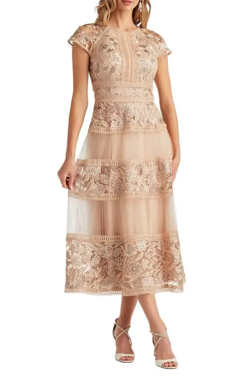 Tadashi Shoji Lace And Mesh Midi Dress