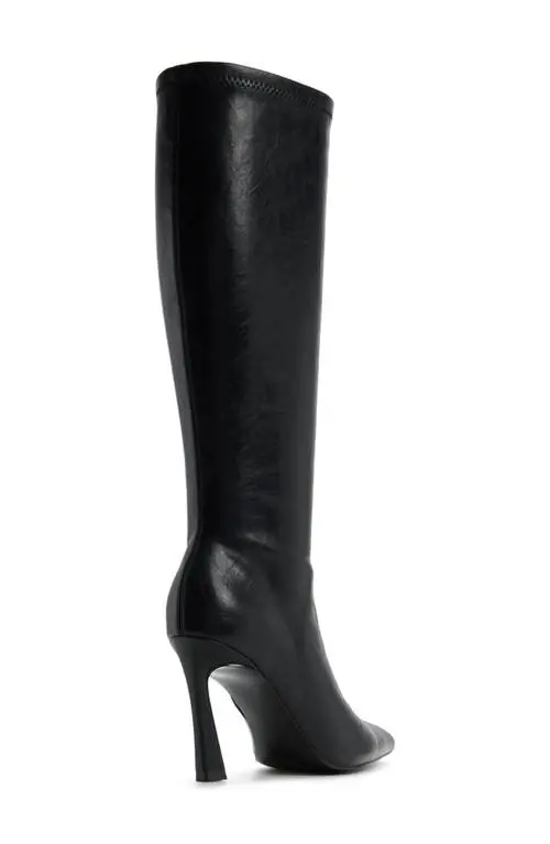 Aldo Jullieta Pointed Toe Knee High Boot