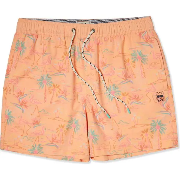 PARTY PANTS 5-inch Swim Trunks