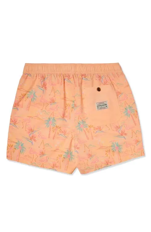 PARTY PANTS 5-inch Swim Trunks