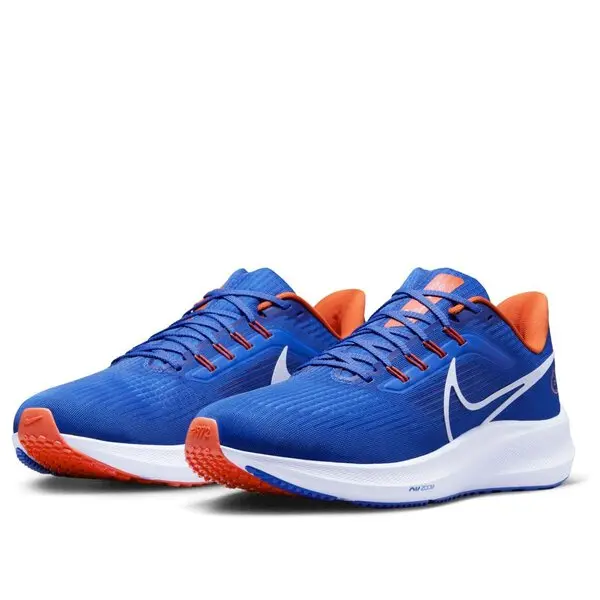 Nike Zoom Pegasus 39 'florida Gators