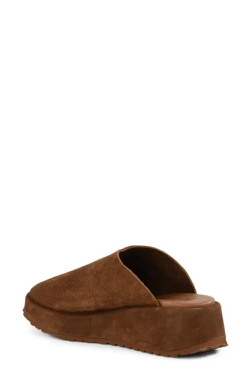 Seychelles Come Away With Me Platform Clog - Brown