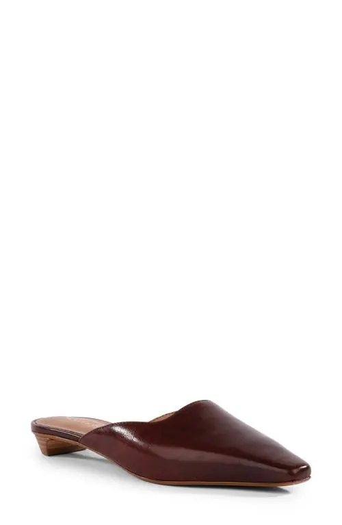 Seychelles Mocktail Ii Pointed Toe Mule - Chestnut