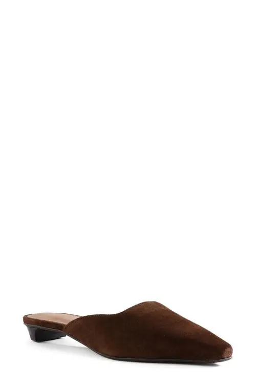 Seychelles Mocktail Ii Pointed Toe Mule - Dark Brown