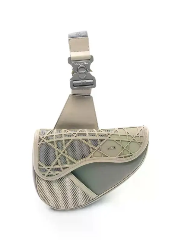 Dior Saddle Belt Bag - Neutrals
