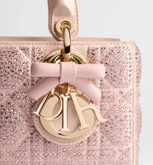 Dior Mini Lady D-joy Bag