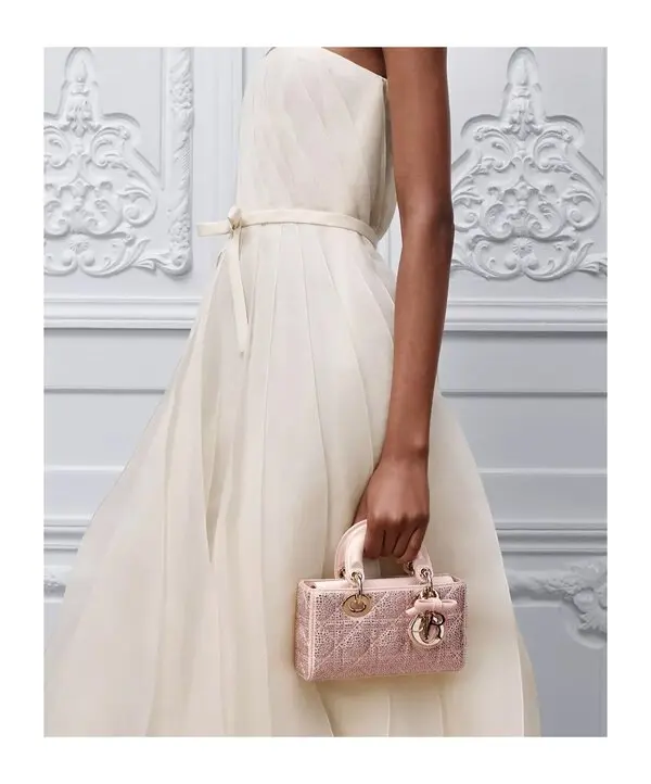 Dior Mini Lady D-joy Bag