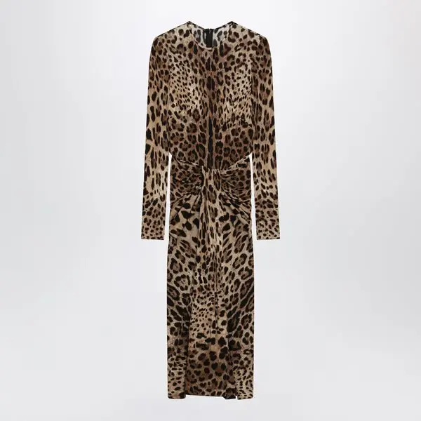 Dolce & Gabbana Leopard-print Viscose Jersey Dress - Brown