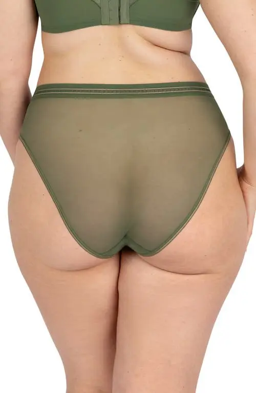 CURVY COUTURE Sheer Mesh High Cut Briefs
