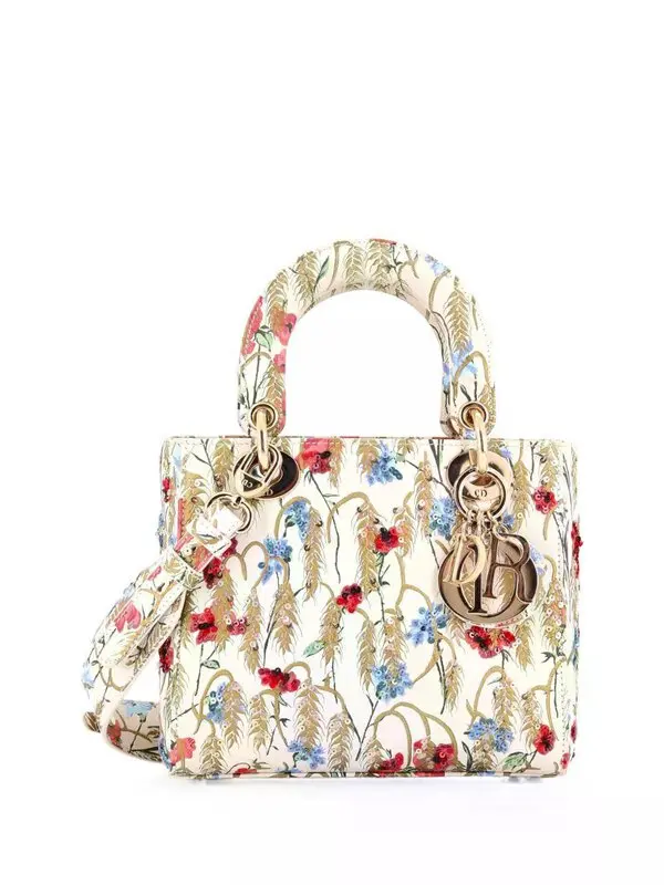 Dior Lady Bag Embroidered Printed Leather Satchel - Neutrals