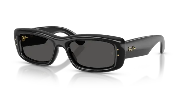 Ray-ban Black Full Rim Sunglasses - Noir