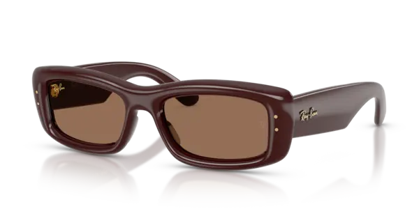Ray-ban Rb4944 - Transparent Dark Brown