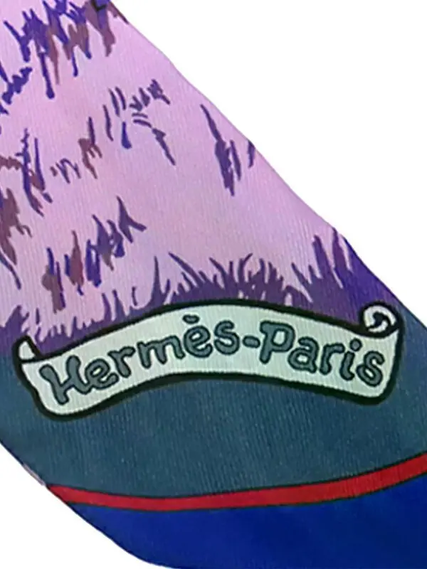 Hermès 2000-2026 Les Zebres Silk Twilly Scarf Scarves