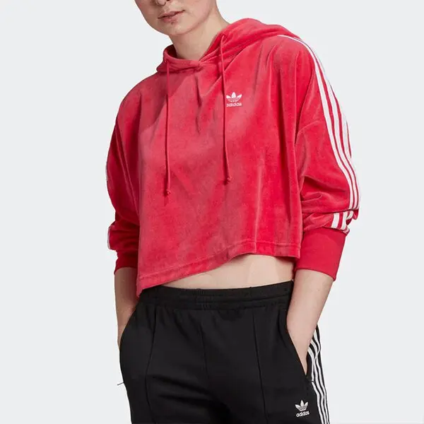 Adidas Originals Cropped Velour Hoodie