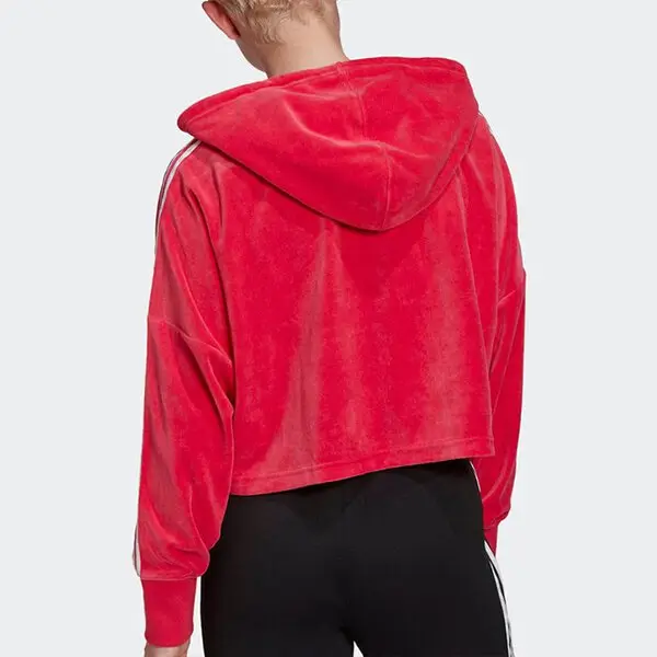 Adidas Originals Cropped Velour Hoodie
