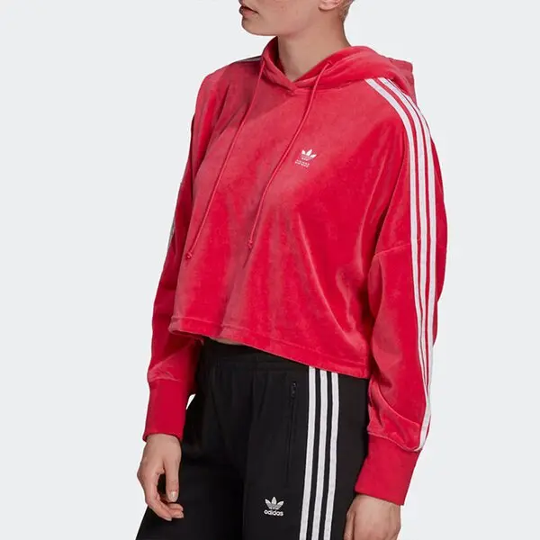 Adidas Originals Cropped Velour Hoodie