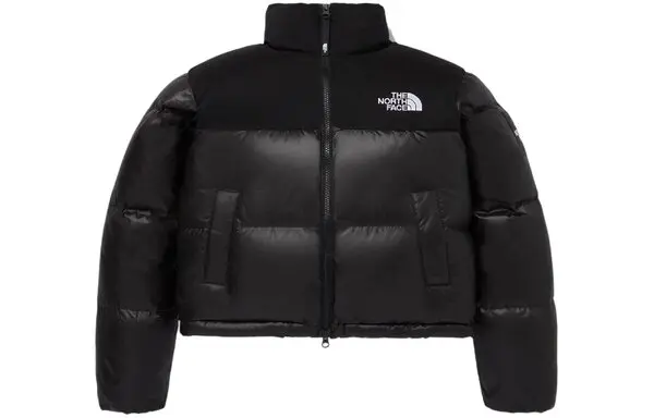 The North Face Novelty Nuptse Down Jacket