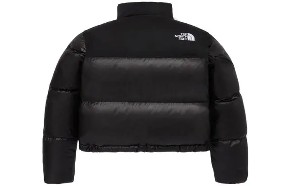 The North Face Novelty Nuptse Down Jacket