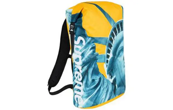 Supreme The North Face Statue Of Liberty Waterproof Backpack