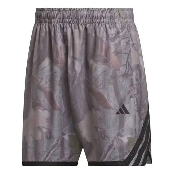 Adidas Crazy Lite Camo Aop Shorts Asia Sizing - Alumina