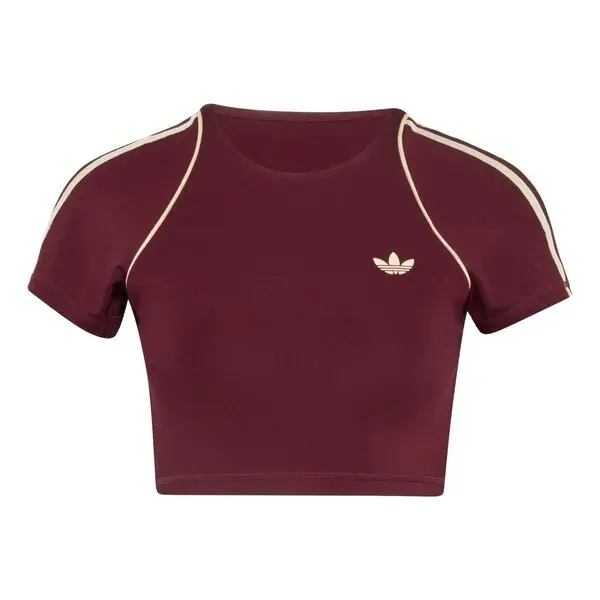 Adidas Superstar Cropped T-shirt - Maroon