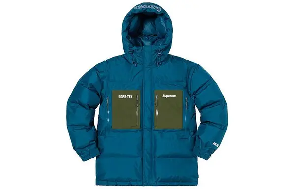 Supreme Fw19 Week 16 Gore-tex 700-fill Down Parka Jacket