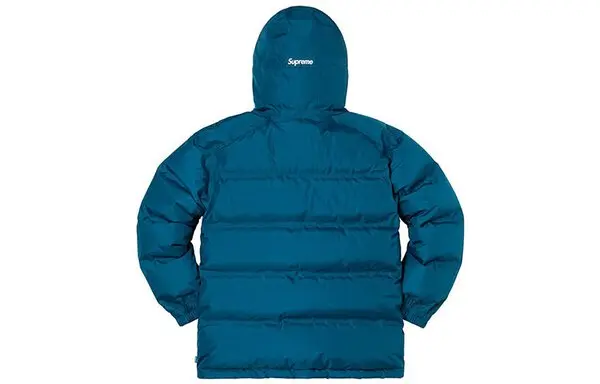 Supreme Fw19 Week 16 Gore-tex 700-fill Down Parka Jacket