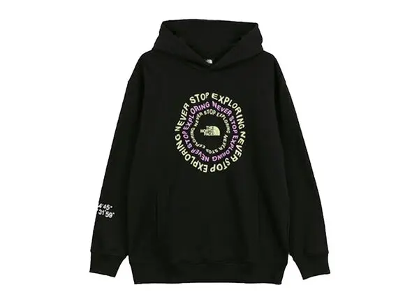 The North Face Nse Graphic Circle Logo Pullover Hoodie
